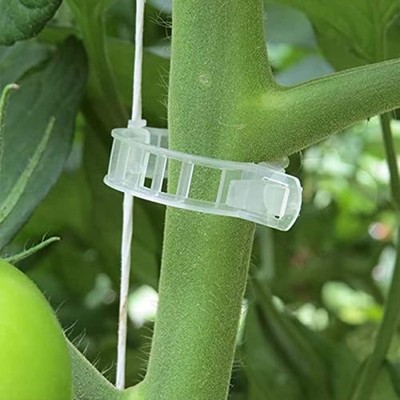 Flexible Clips for Garden Use Support for Vines For Tomatoes Cucumbers ...