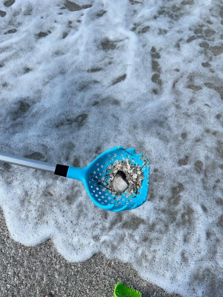 Rock Scooper, Sea Shell Scoop, Shark Teeth, Gift, Rock Collect, Rock ...