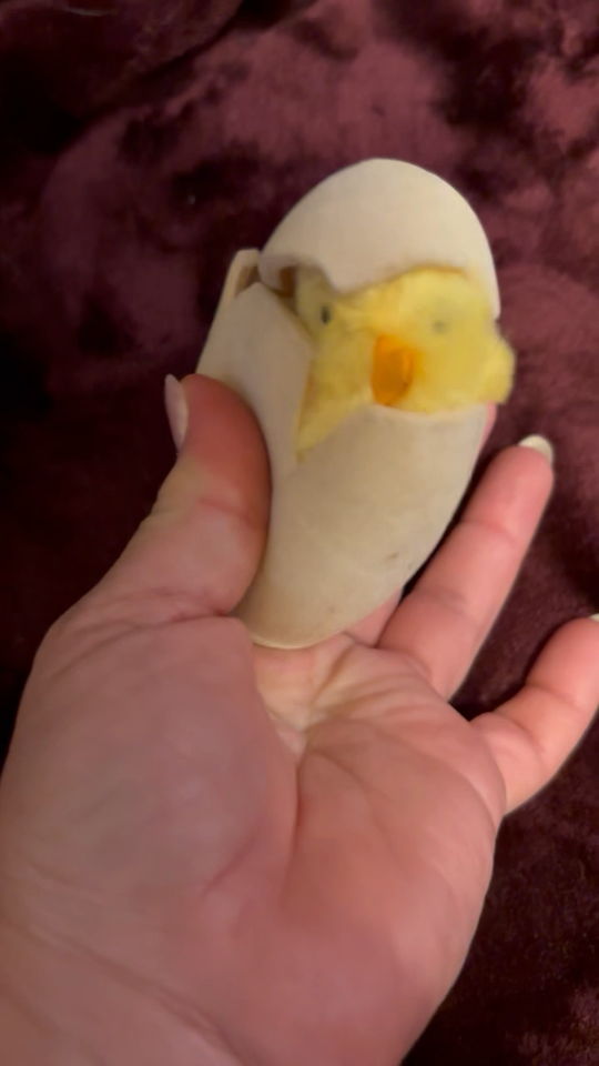 Easter Chick Finger Puppet, Vintage Folkmanis Folktails Baby Chick in ...