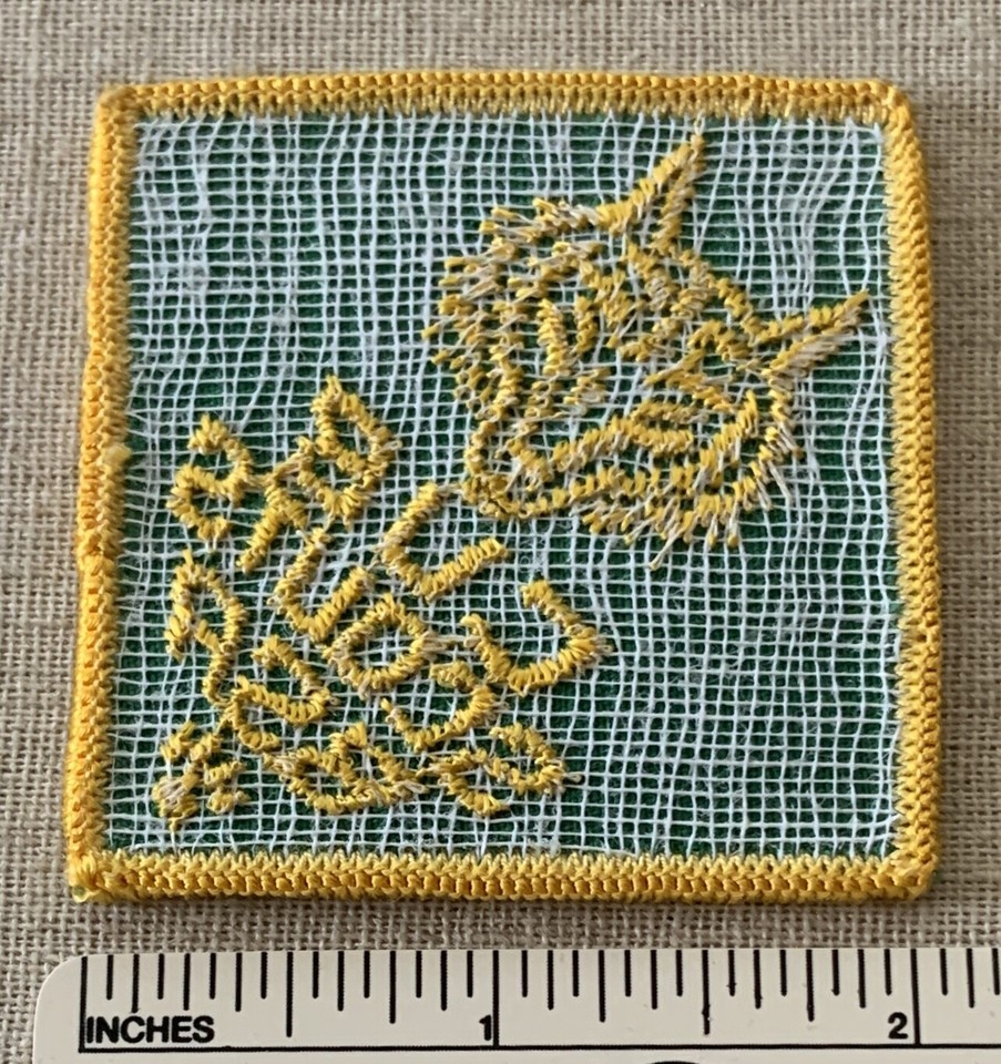 VTG 1960s-70s ASSISTANT CUBMASTER Boy Cub Scout Leader Position PATCH ...