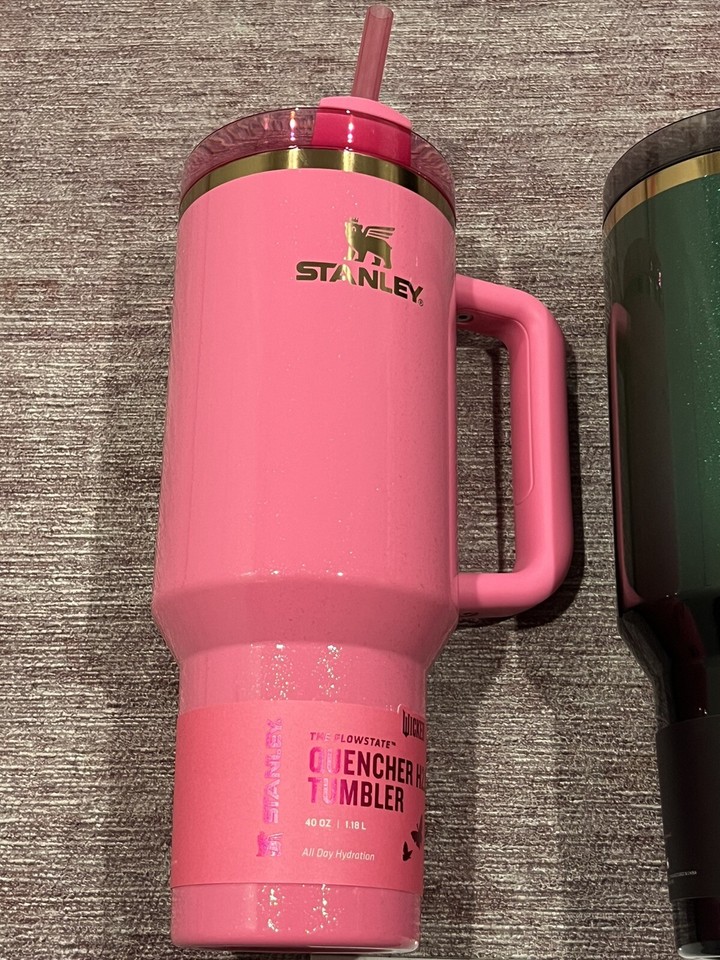 Stanley X Wicked 40oz Tumbler Target Exclusive Bundle Set Elphaba ...