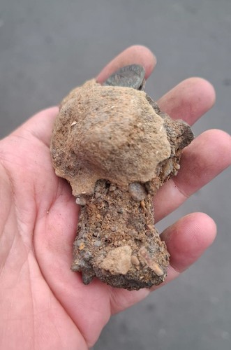 2 pcs Authenthic VOC GelderLand & Tin Java In 1 Fossil shipwreck Coin ...