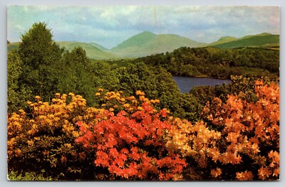 Loch Awe & Ben Lui, Argyll and Bute, Scottish Highlands Postcard S0919 ...