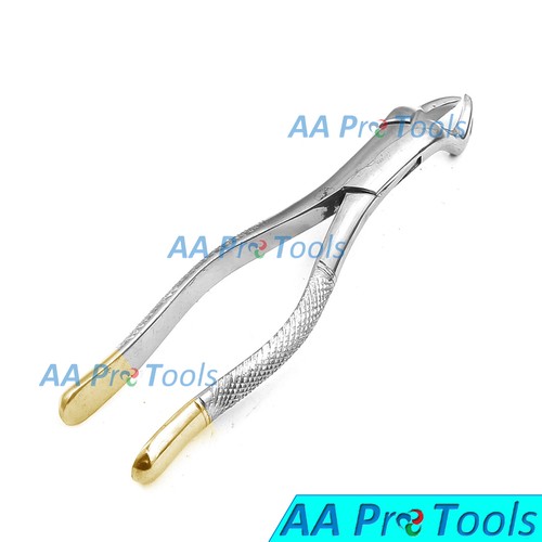 Dental Extracting Forceps #88R 1st 2nd Molars Gold Handles Oral Surgery ...