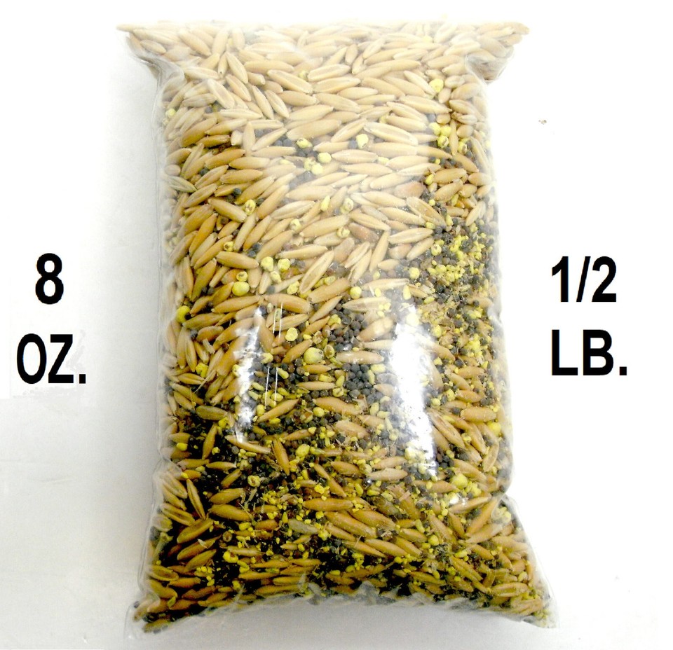 BULK BAGS EVOLVED HARVEST 7 CARD STUD FULL SEASON DEER FORAGE FOOD PLOT ...