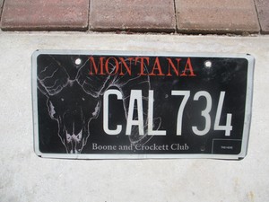 automobilia showcase | eBay Stores