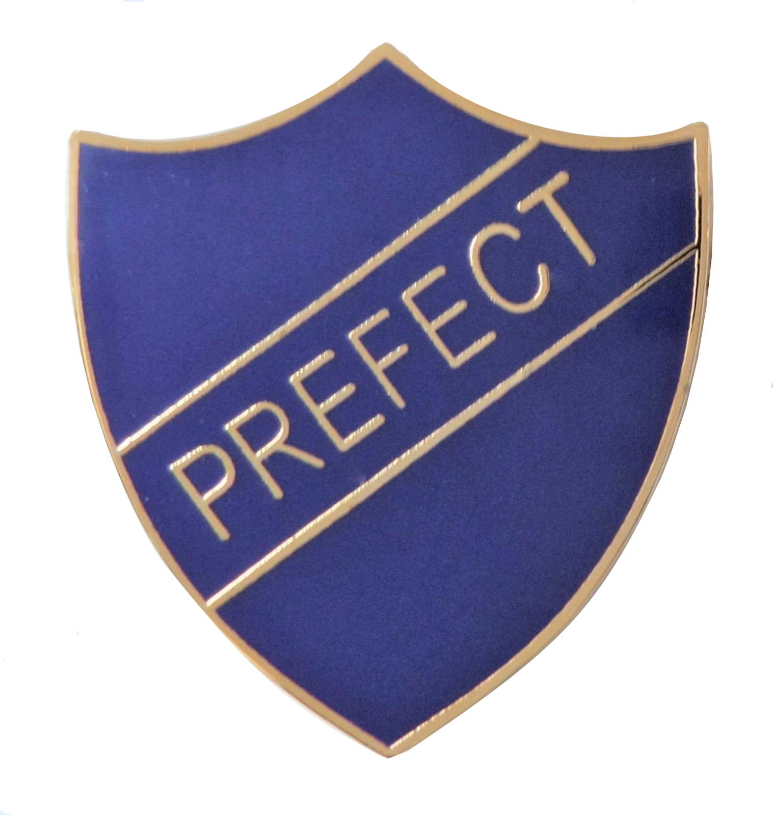 Blue Prefect Badge For Schools Gold Plated Pin Badge | eBay UK