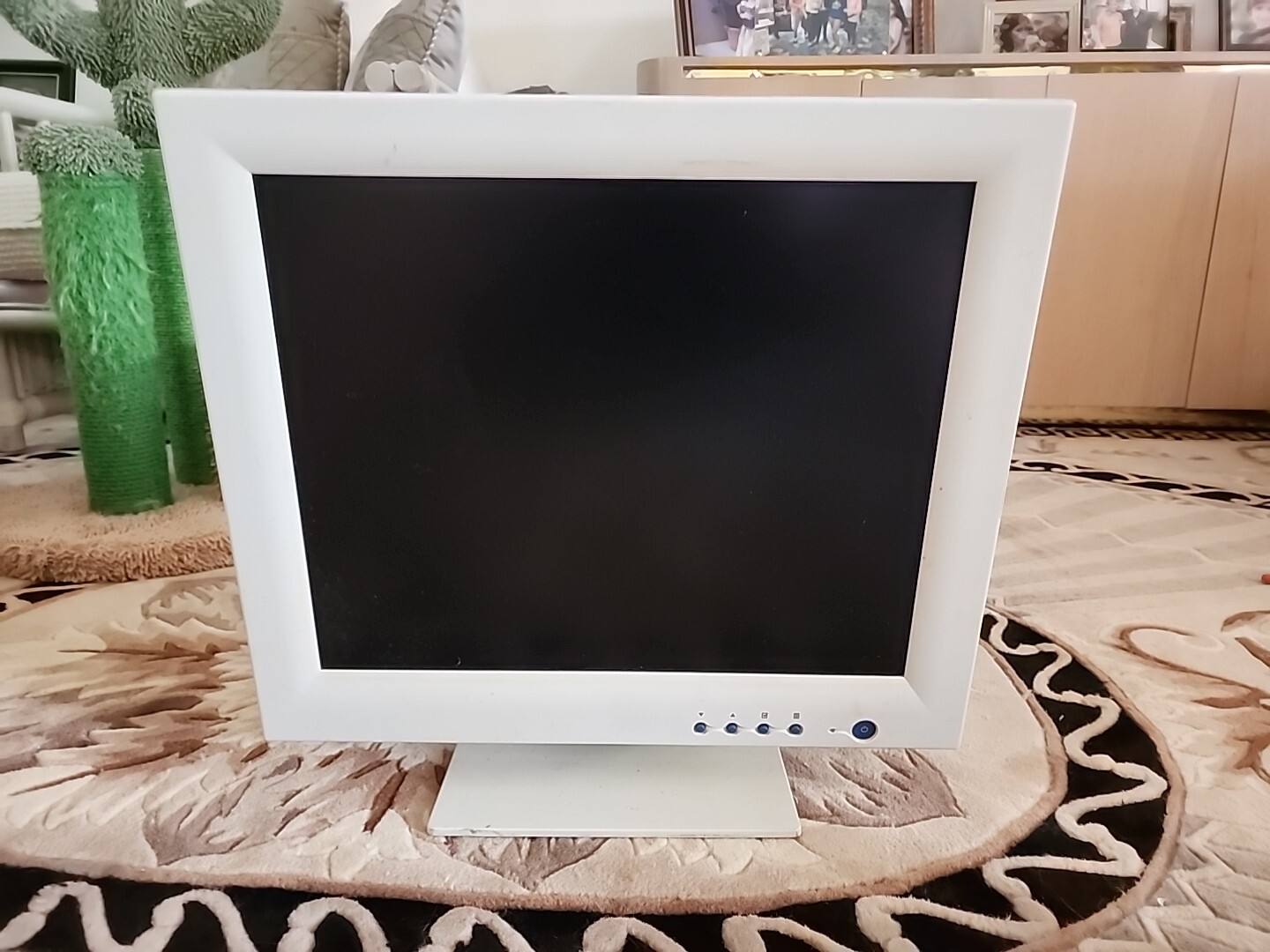 17 In Computer Monitor | eBay