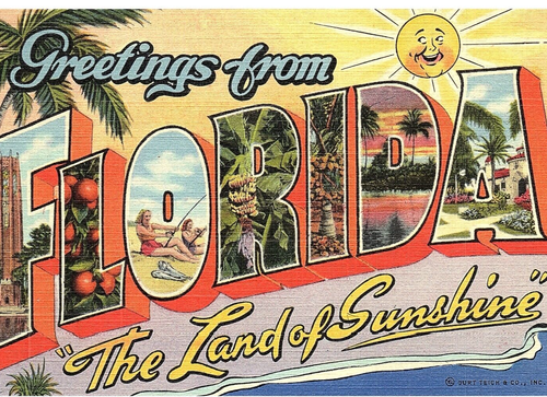 FLORIDA LARGE LETTERS GREETINGS FROM LAND OF SUNSHINE 💥 VINTAGE 💥 2B ...