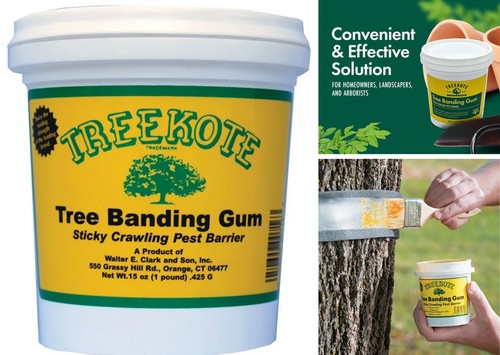 NEW! Treekote Tree Banding Gum 16oz - Sticky Crawling Pest Barrier FREE ...