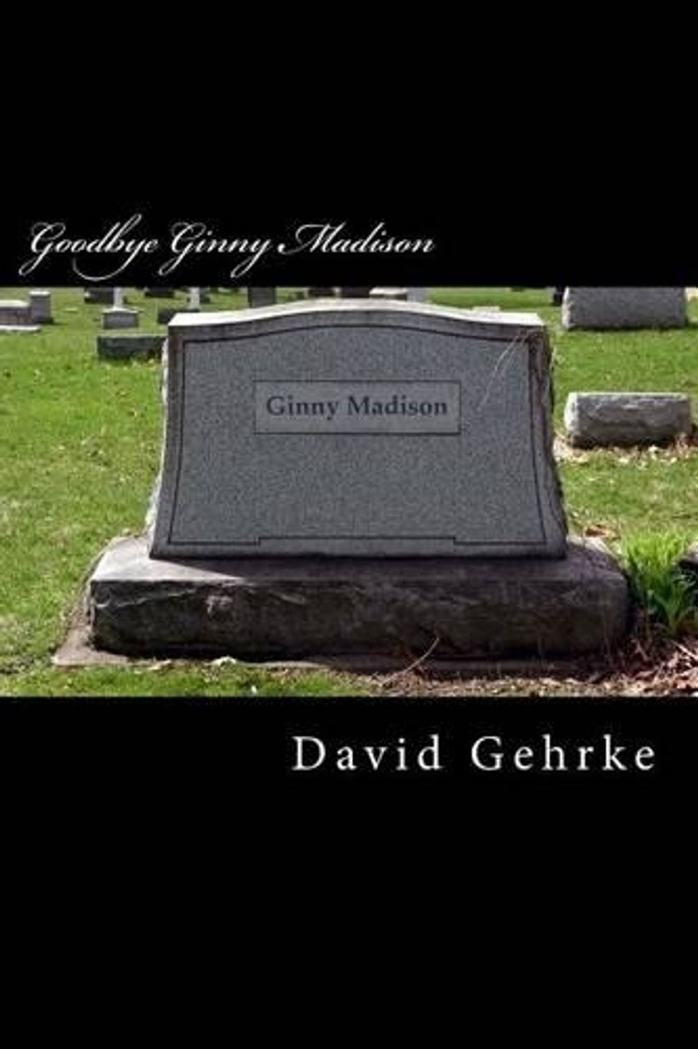 Goodbye Ginny Madison by Dave Gehrke (English) Paperback Book ...