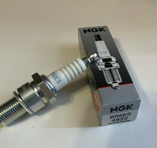 NGK 4922 Spark Plug BR6ES | eBay