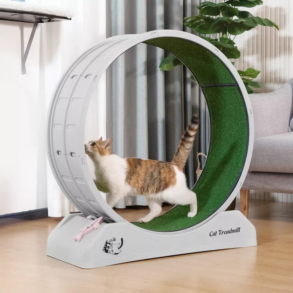 Cat Exercise Wheel Plastic Running Wheel Cat Toys Indoor Cat Treadmill ...