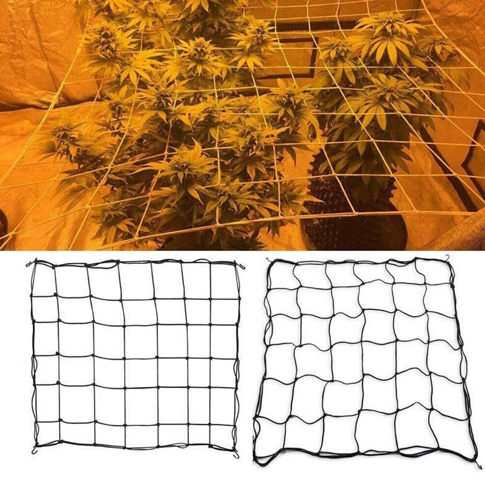 Elastic Scrog Trellis Net w/Hooks Plant Support Netting for Grow Tent 5 ...