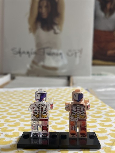 HUMAN BODY CLEAR TRANSPARENT + FLESH ANATOMY SCIENCE BIOLOGY LEGO ...