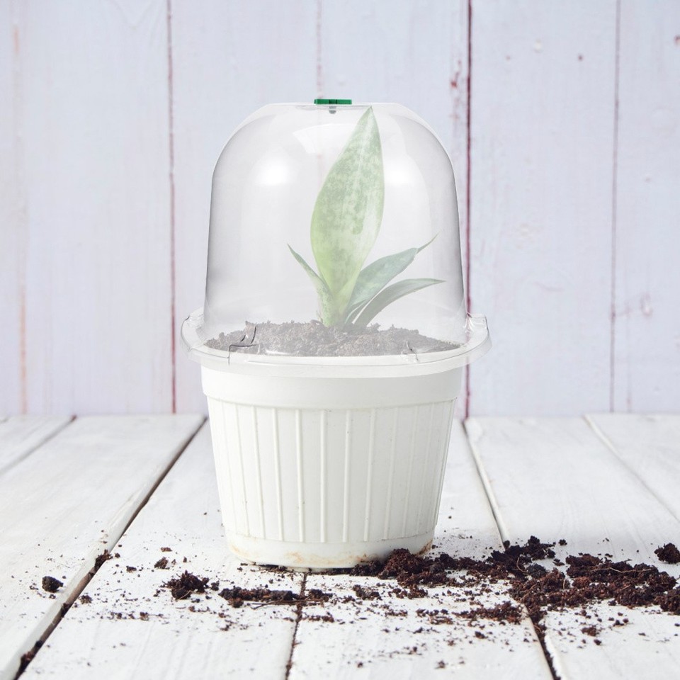 Garden Cloche Dome Breathable Plants Dome Plant Nursery Protector ...