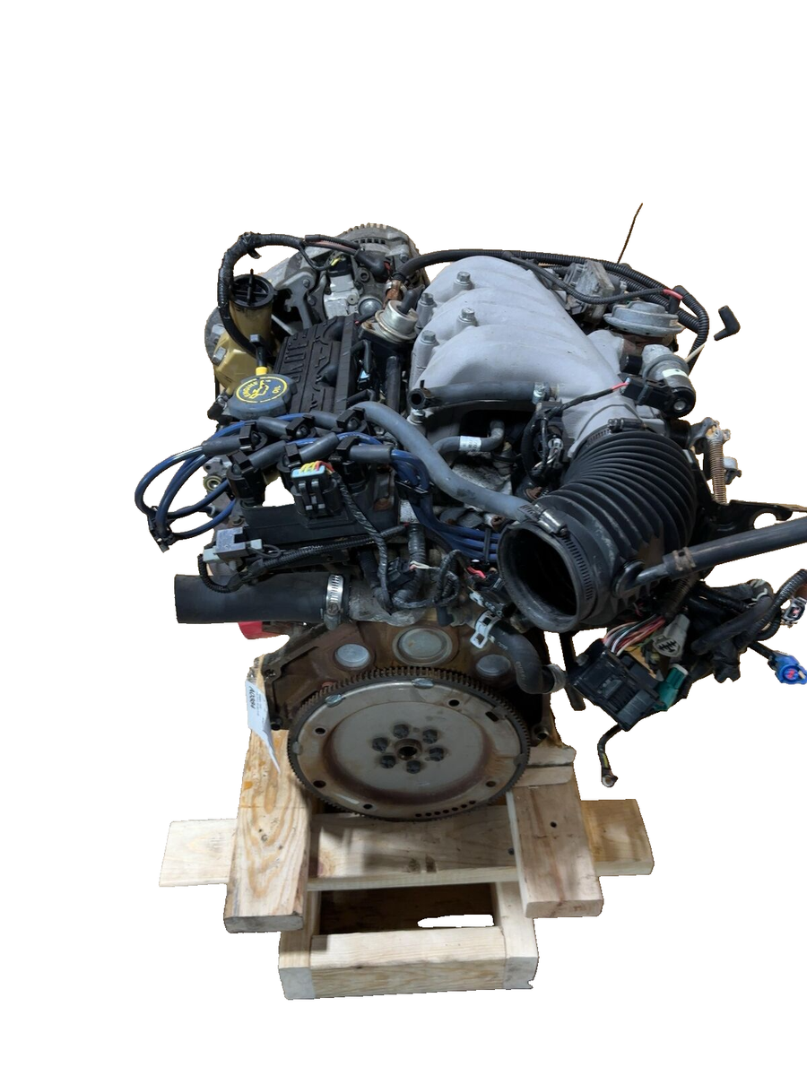 1995 Ford Windstar Engine 1995 Ford Windstar, Wagon