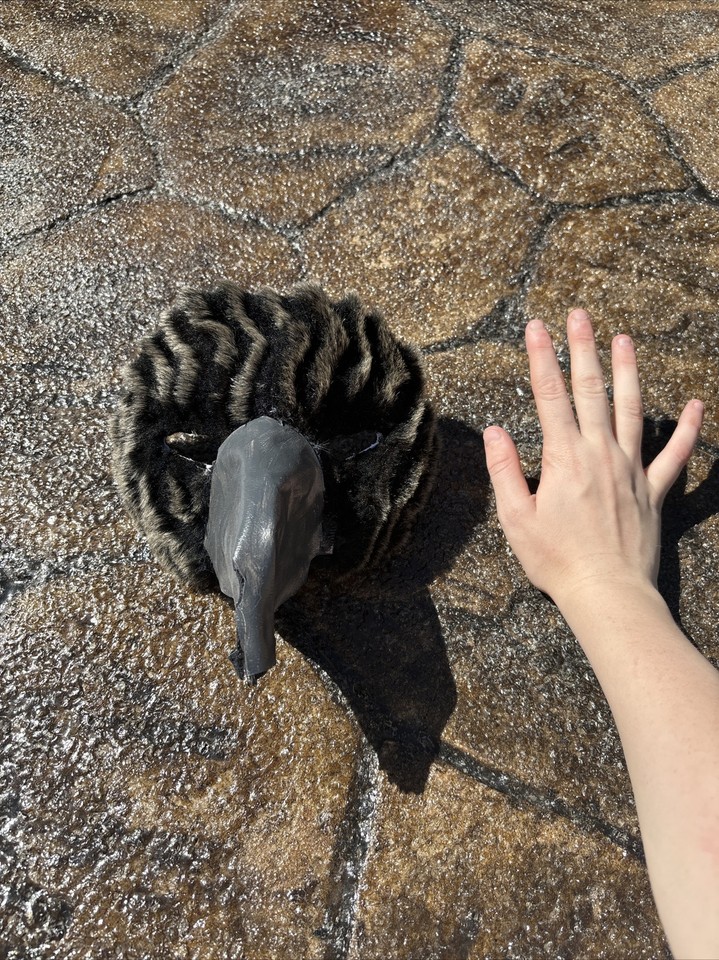 Therian Bird Mask For Quadrobics, Made High quality. Come With Extras ...