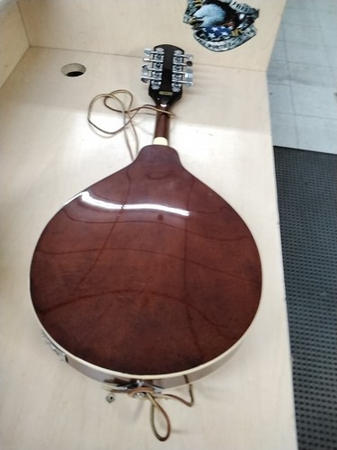 GOYA C.F.MARTIN GM23E Electric MANDOLIN MIK WITH ORIGINAL CASE | eBay