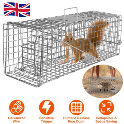 Squirrel Rat Cage Large Trap Live Humane for Rat Chipmunk Rodent Animal ...