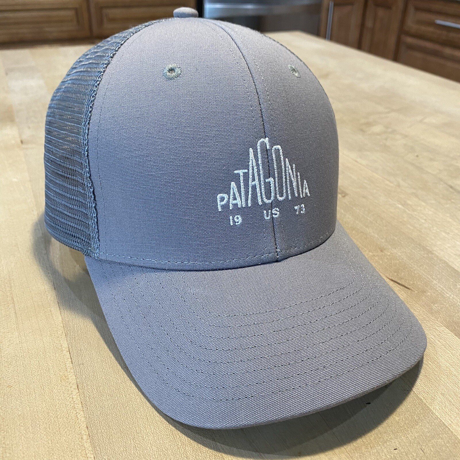 Patagonia Pyramid Logo Trucker Hat - Mint - Feather G… - Gem