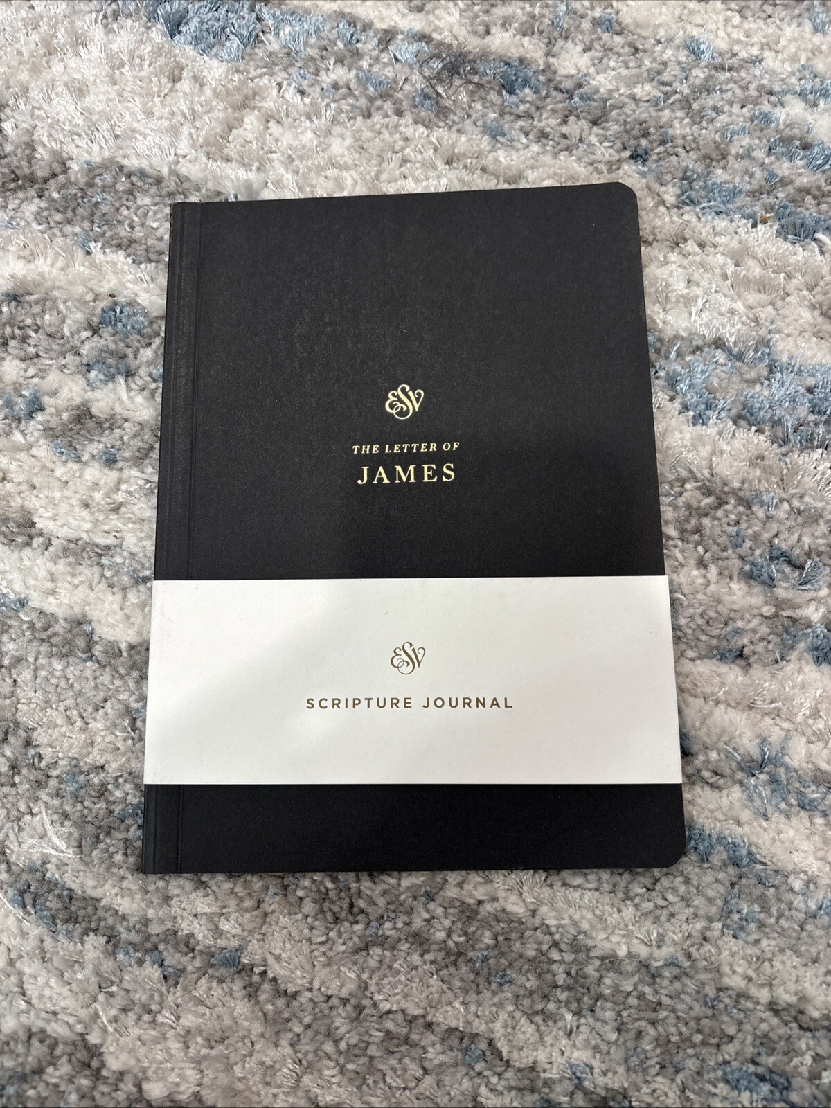 ESV Scripture Journal : James (Paperback) by Esv Bibles and Not ...