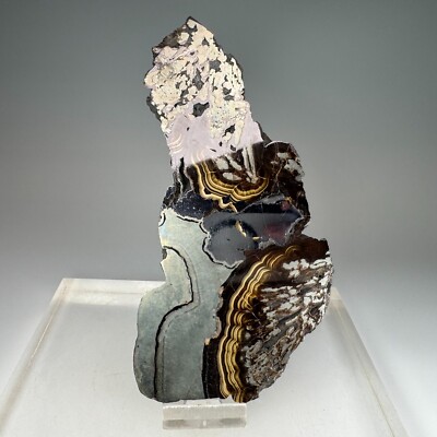 Large Polished Sphalerite, Galena, Marcasite Ore Sample: Pomorzany Mine ...