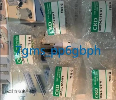 1 PCS NEW IN BOX CKD SSD2-L-12-5-W1 with switch adjustable stroke ...