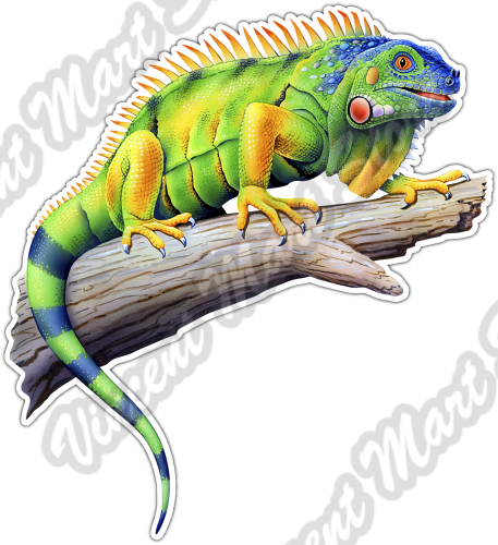 Colorful Green Iguana Lizard Reptile Miami Car Bumper Vinyl Sticker ...