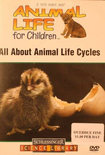 All About Animal Life Cycles - DVD - VERY GOOD | eBay