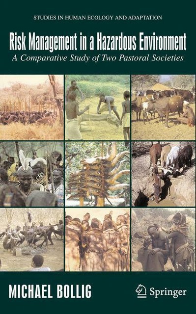 Risk Management in A Hazardous Environment von Michael Bollig (2010 ...