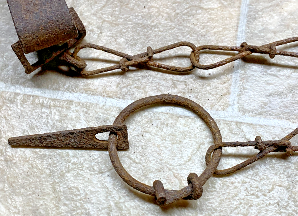 Oneida Victor 1-3/4 Hunting Foothold Animal Trap | eBay