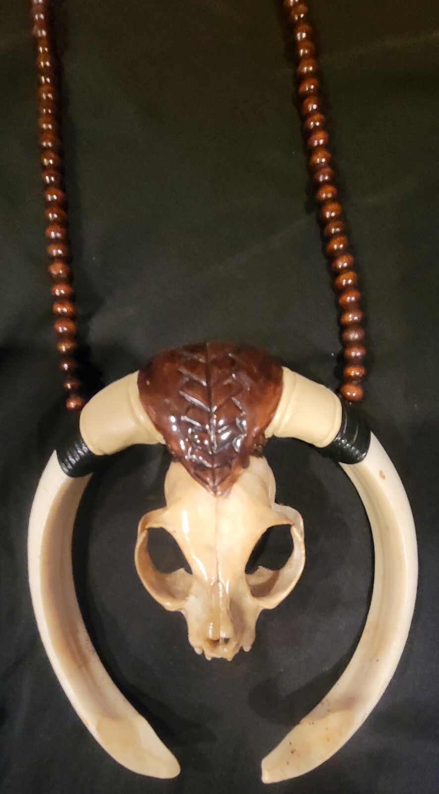 Native American Shaman Boar Teeth Mayan Aztec Lakota Mexica Apache ...