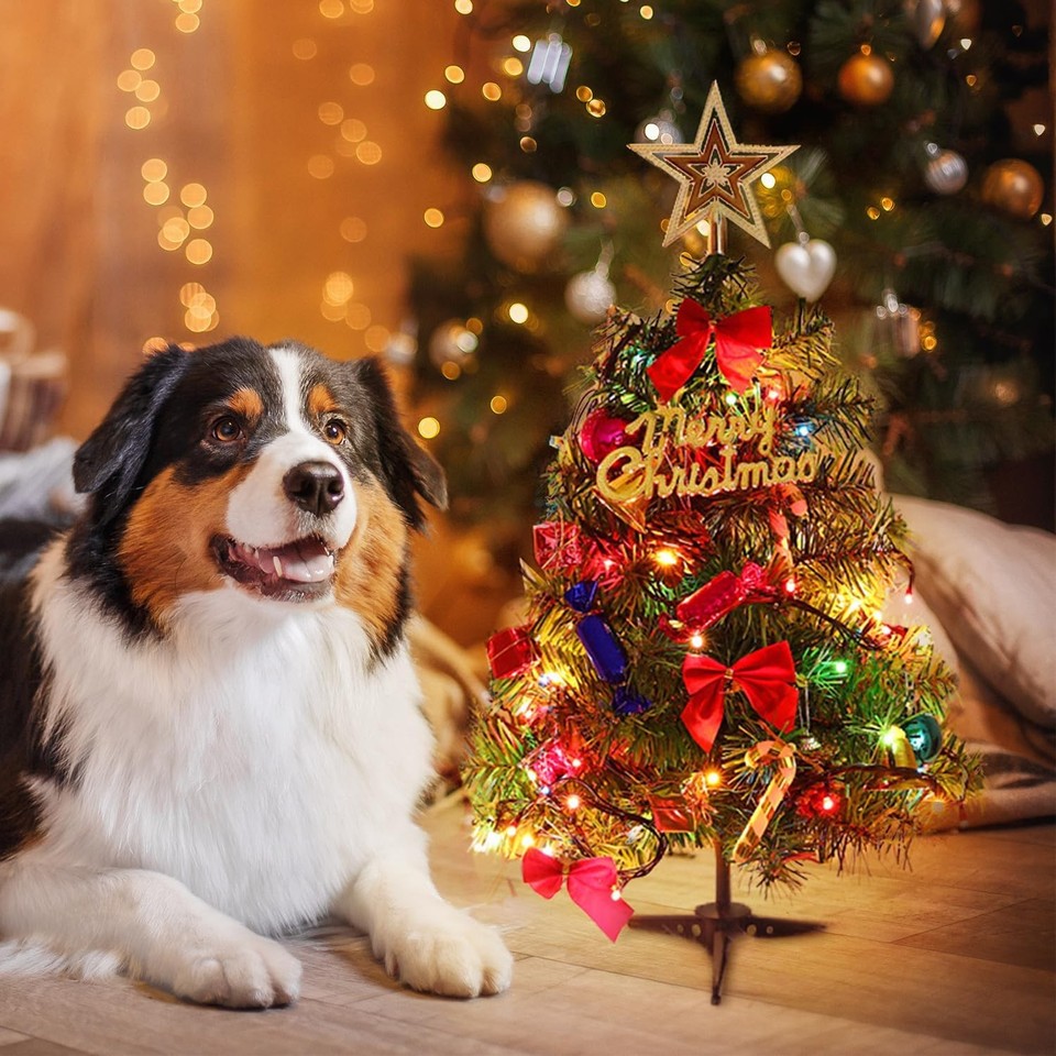 20 Inch Christmas Tree with Light Small Table Top Christmas Tree with ...