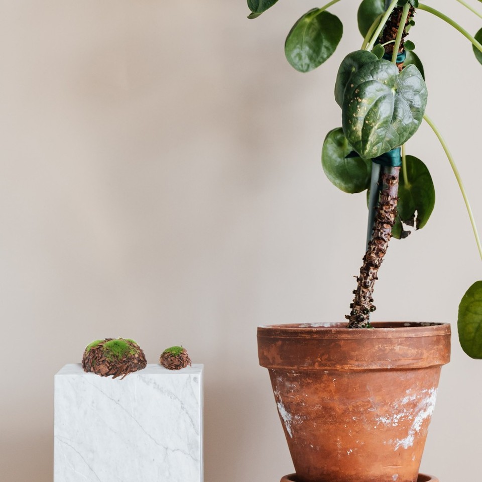 6PCS Simulated Moss Stone Decor Multiple Shape Flocking Moss Block ...