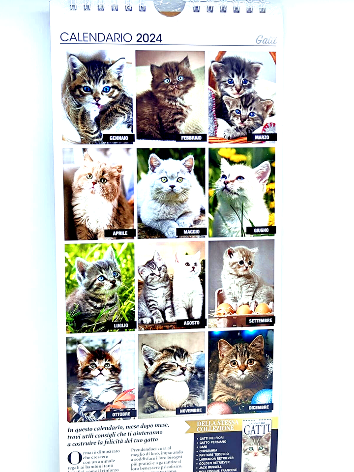 GOODMAN CAT CALENDAR 2024 | eBay