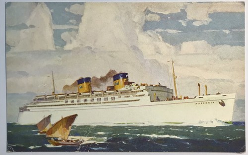 SS Matsonia Ship Vessel Giant White Liner Matson Oceanic Fleet Postcard ...