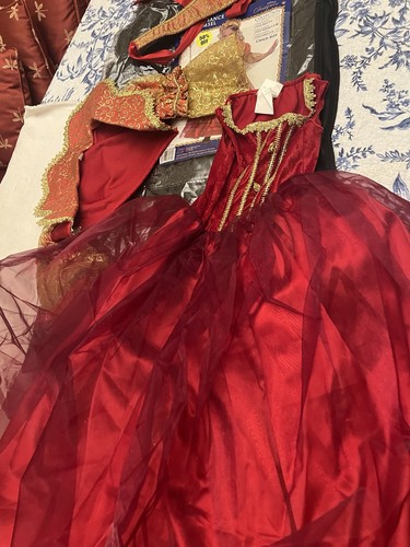 Renaissance Damsel Medieval Maiden Princess Fancy Dress Halloween Girl ...