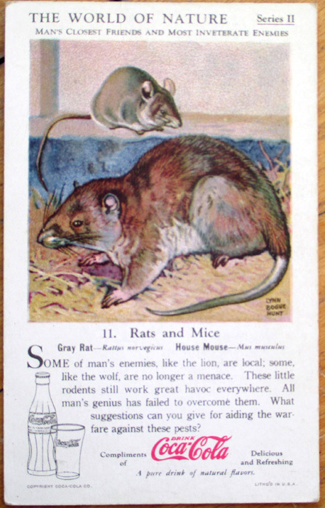 1930s Coca-Cola/Coke 'World of Nature' Card: 'Rats and Mice' - Mouse | eBay