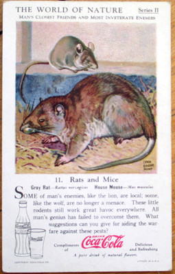 1930s Coca-Cola/Coke 'World of Nature' Card: 'Rats and Mice' - Mouse | eBay