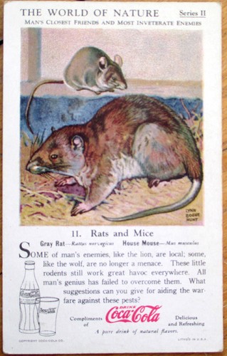1930s Coca-Cola/Coke 'World of Nature' Card: 'Rats and Mice' - Mouse | eBay