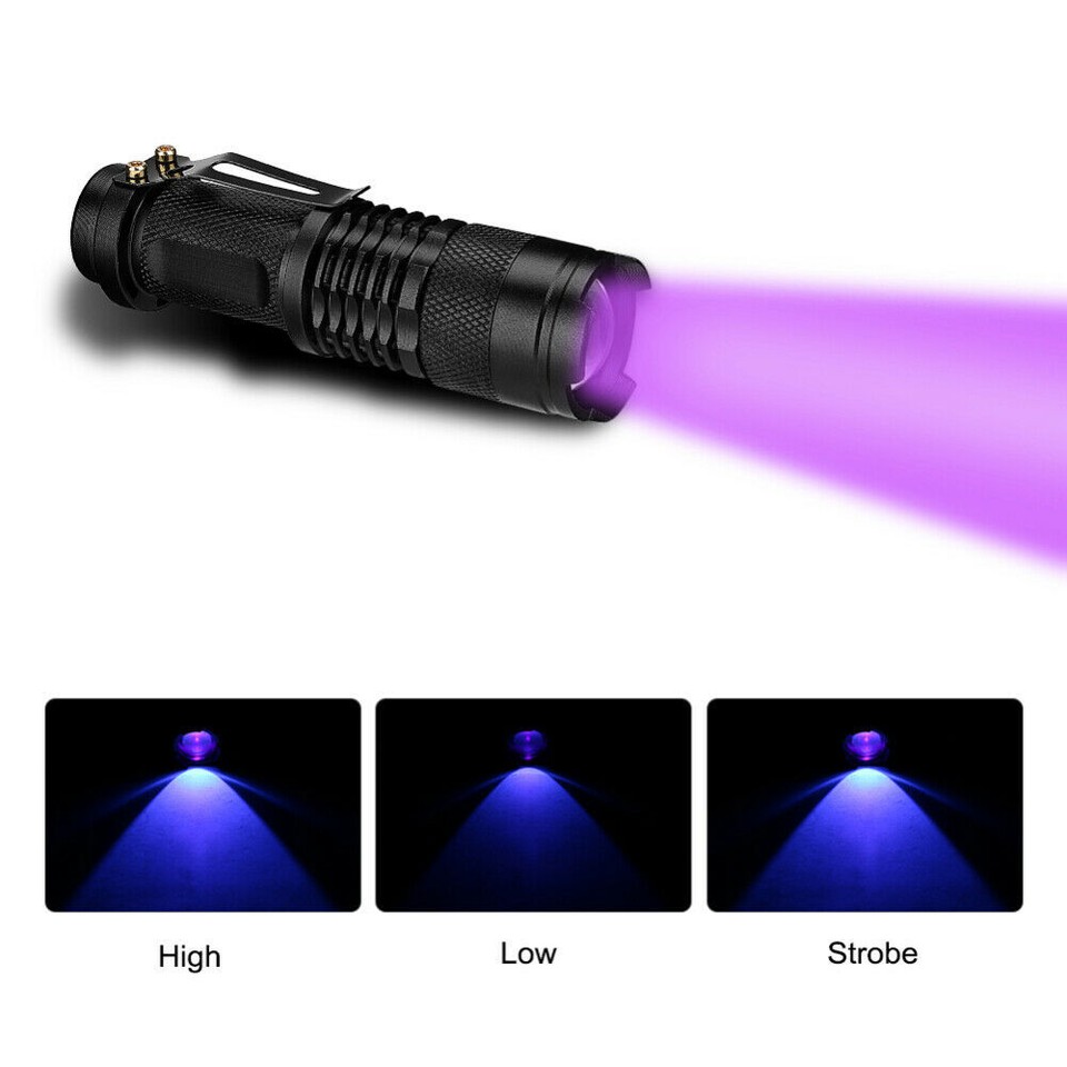 Portable UV Ultraviolet LED Flashlight 395nm Light Lamp Zoomable Pocket ...