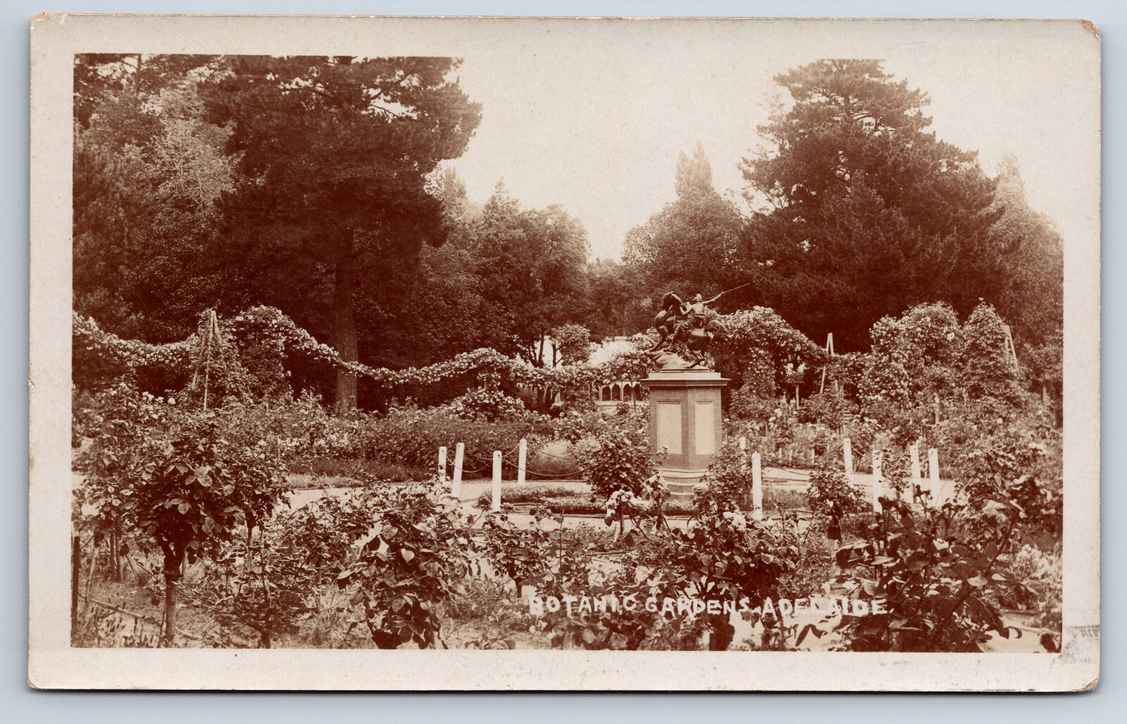 Vintage RPPC Adelaide Botanic Gardens Rosary Statue Australia G10 | eBay