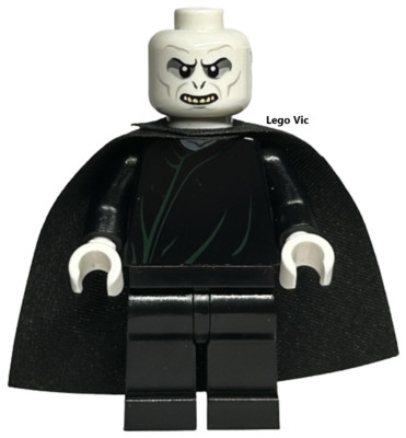 Lego HP098 Figurine Lord Voldemort du Harry Potter 4842 Hogwarts Castle ...