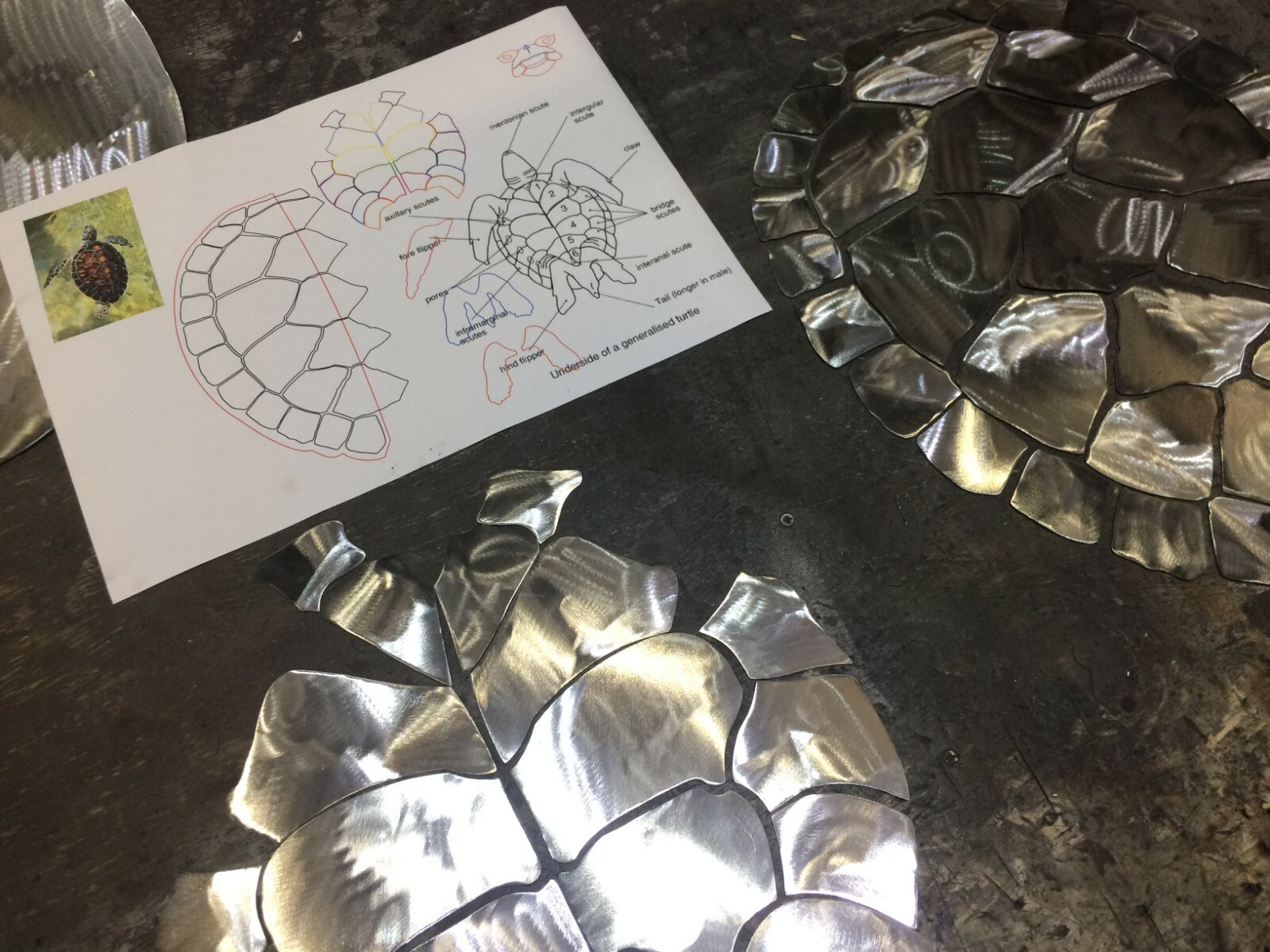 Handmade Welded Steel Sea Turtle Sculpture - made to order | eBay UK