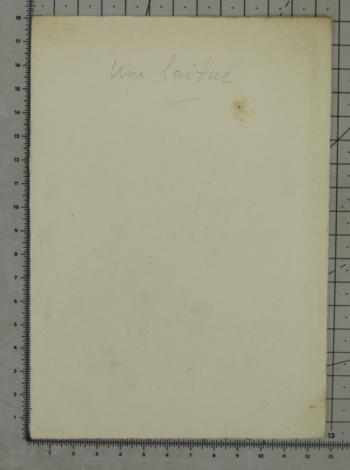 Drawing Antique Work By French Painter Leon Nancey Signed Dated NZ8 ...