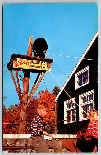 Bear Fed by Pulley He Operate Pulling Tin Can~Kid Eats Candy Corn~New ...