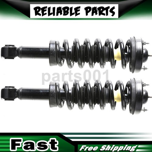 Strut with Coil Springs for Ford F150 Front | eBay