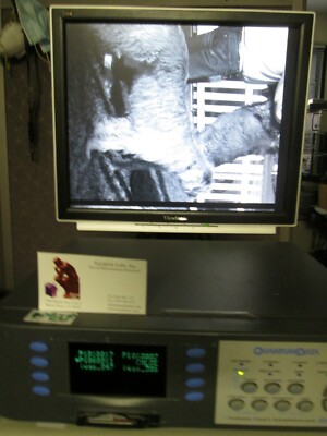 Other - Quantum Data