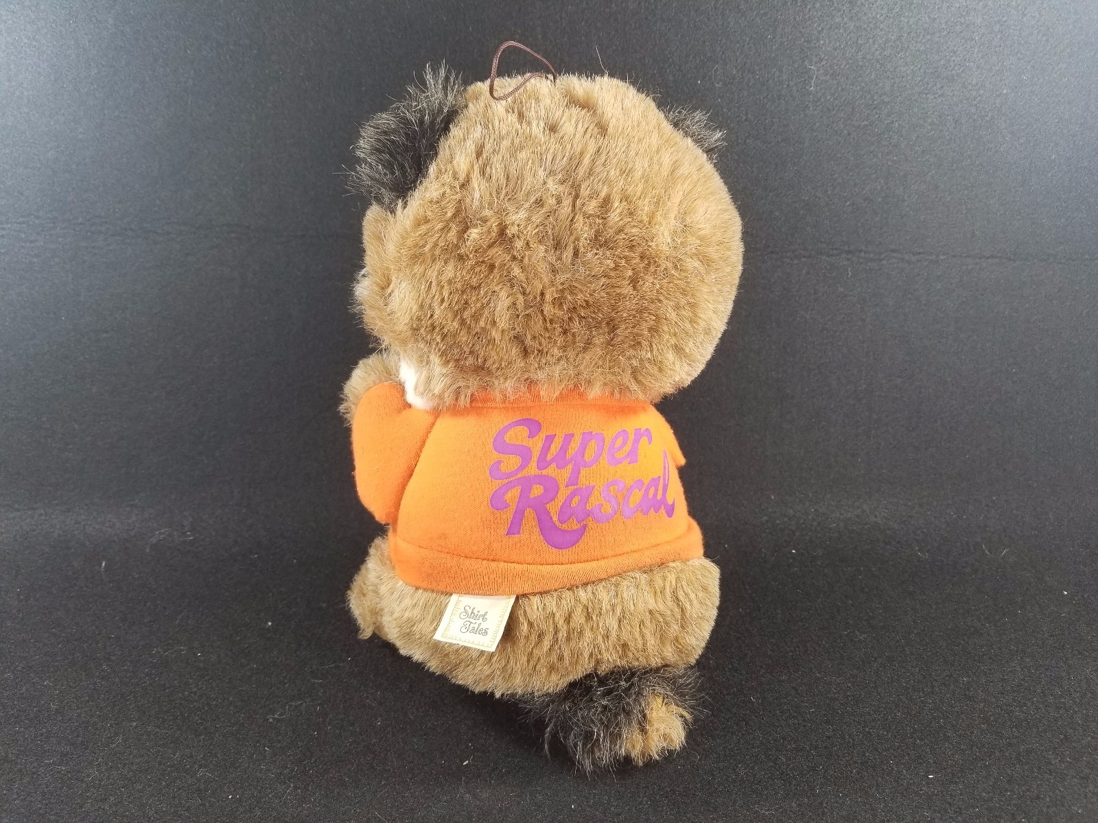 Hasbro Shirt Tales RICK RACCOON Super Rascal Large Plush Stuffed Animal ...